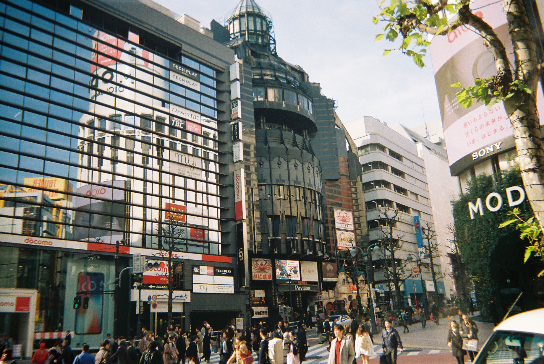 Shibuya Area Guide: Wards in Tokyo | Tokyo Room Finder