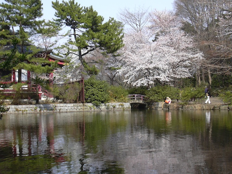 Itabashi Area Guide: Wards in Tokyo | Tokyo Room Finder