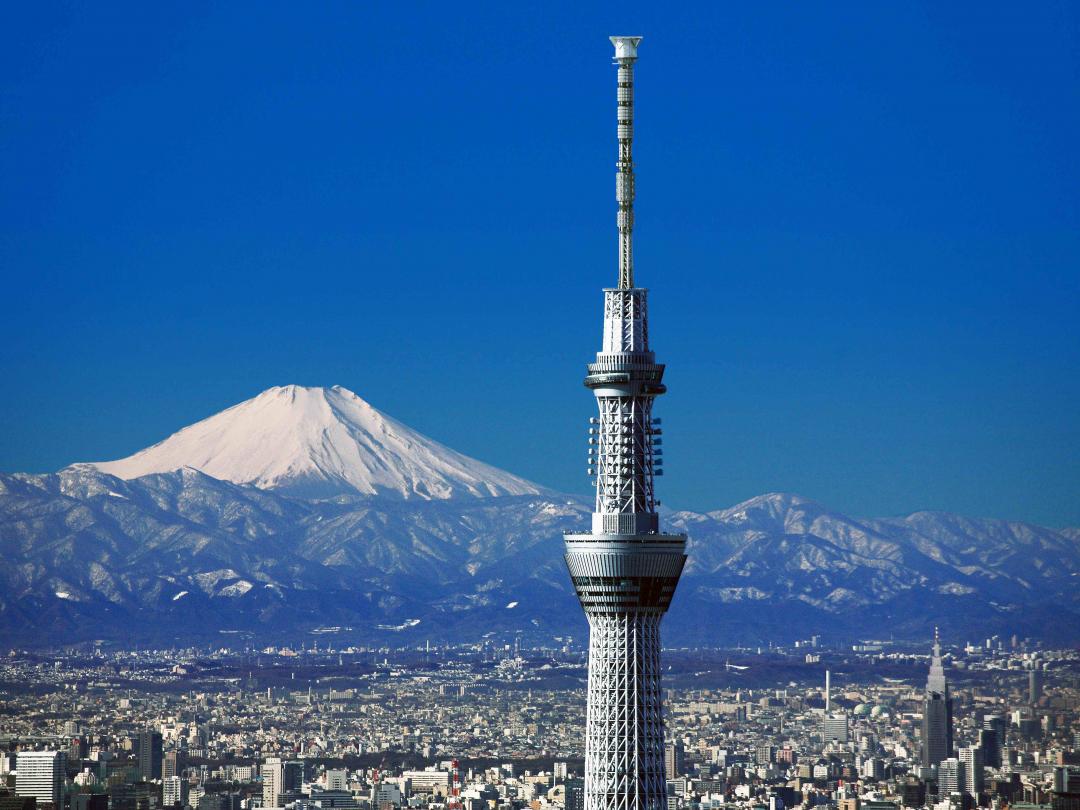 Sumida Area Guide: Wards in Tokyo | Tokyo Room Finder