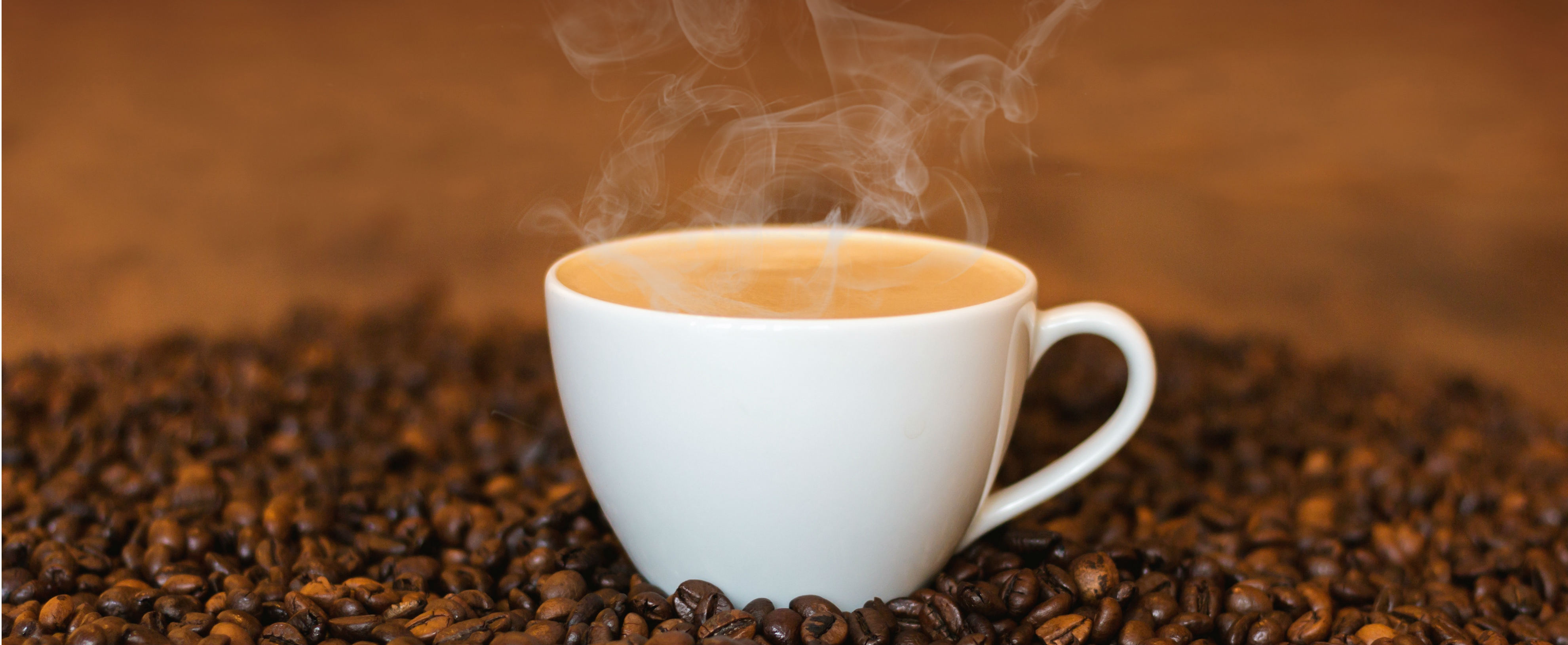 Syphon Coffee, another proof of Japanese excellency | Tokyo Room Finder