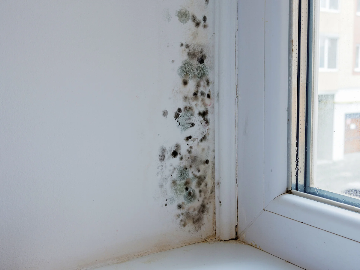 Battling moisture and mold during Japan winters - Tokyo Room Finder Blog