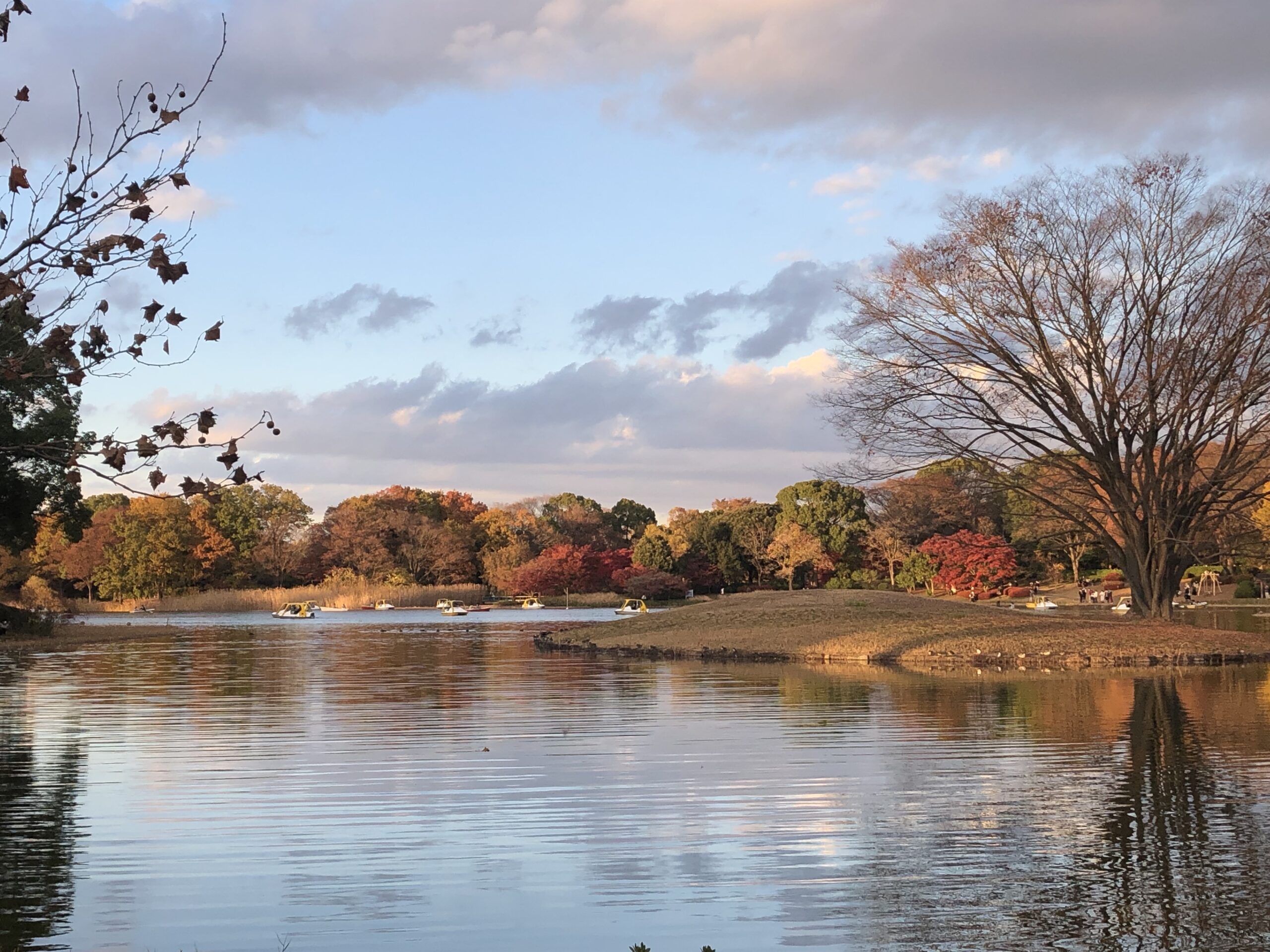 Four Autumn Outings In and Around Tokyo - Tokyo Room Finder Blog