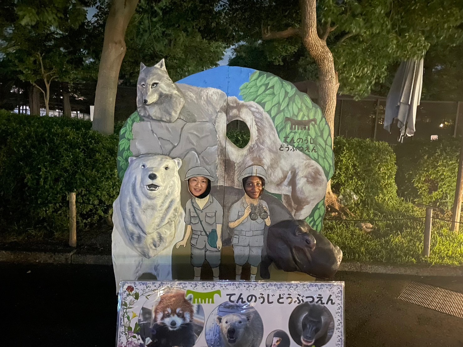 Time to Paws and Relax: Osaka Tennoji Night Zoo - Tokyo Room Finder Blog