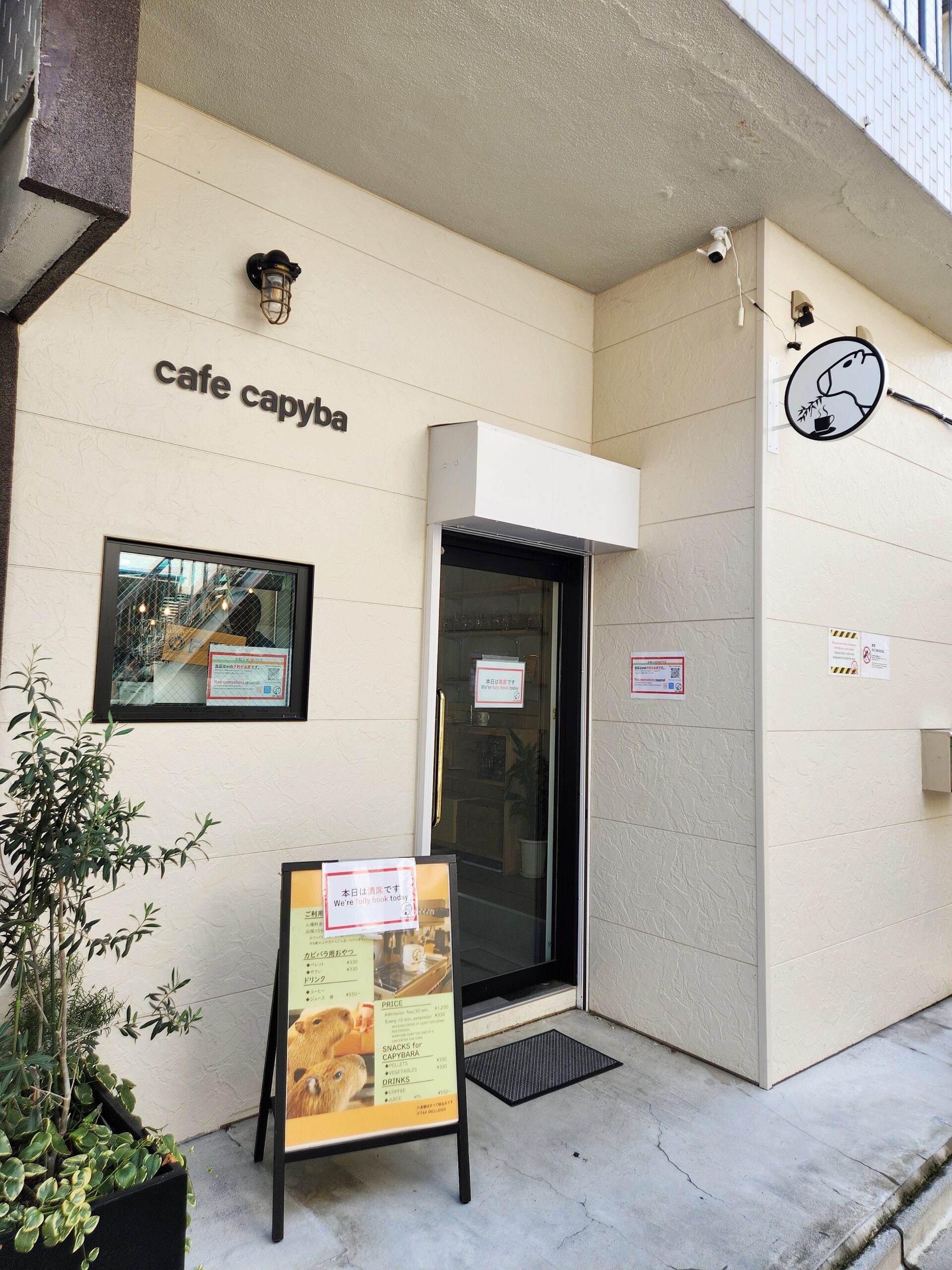 First Encounter with Capybaras: An Animal Café Experience in Tokyo ...