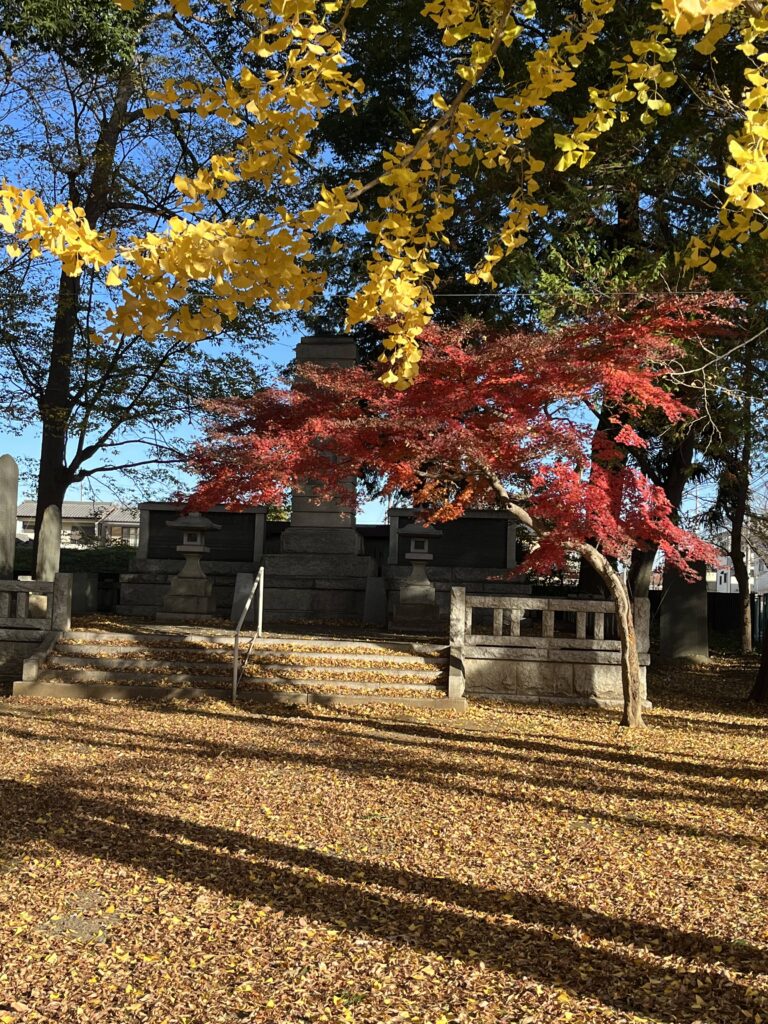 Picturesque Fall Colors in Tokyo - Tokyo Room Finder Blog