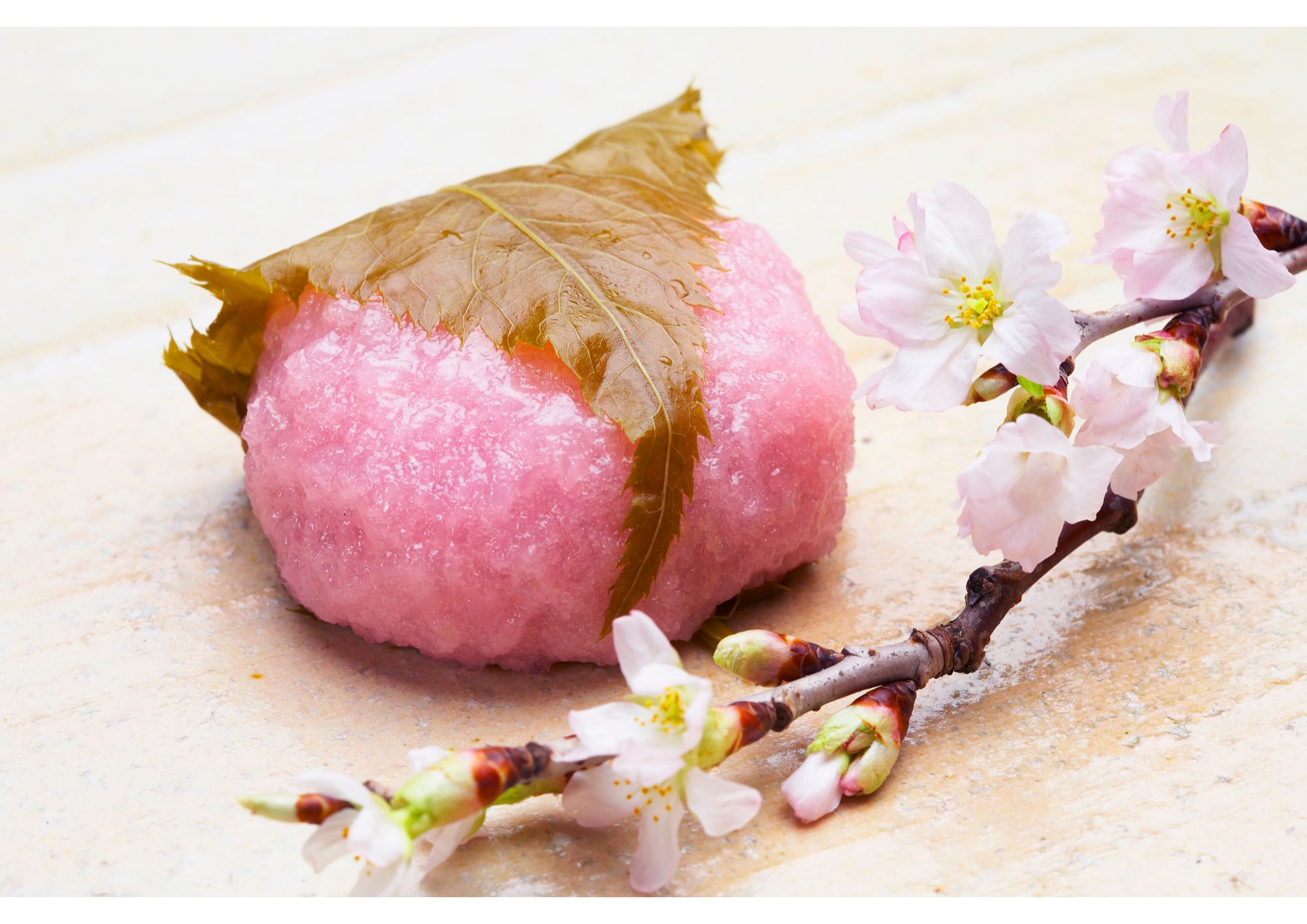 Sakura Season in Tokyo: Best Spots, Sweets & Tips - Tokyo Room Finder Blog