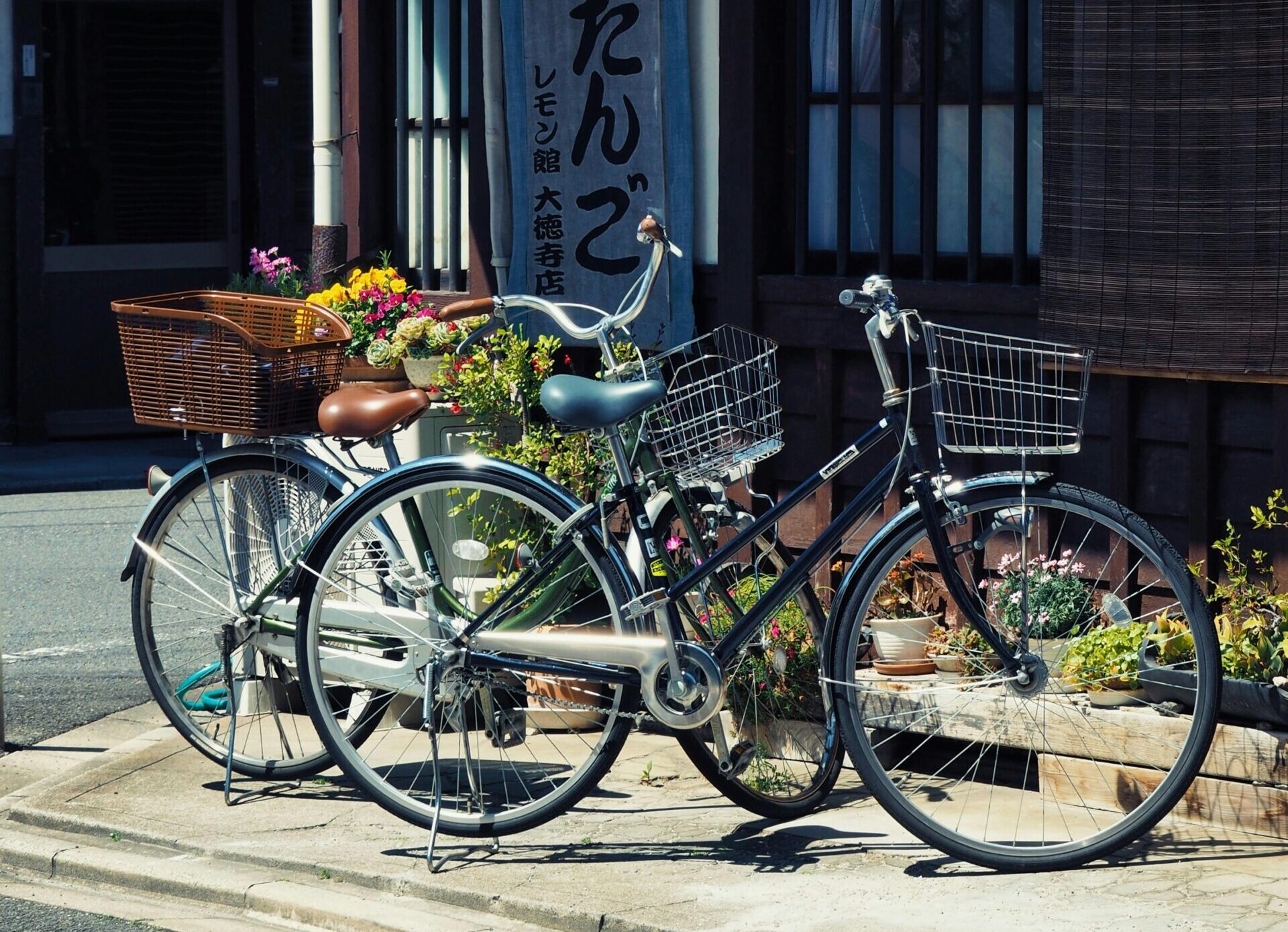 A Friendly Guide to Bicycling in Japan for Foreigners: What You Need to ...
